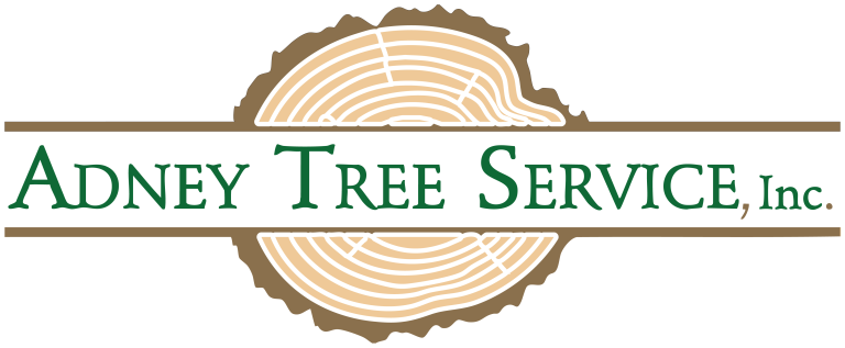 Tree Service Experts | ADNEY TREE CARE INC.