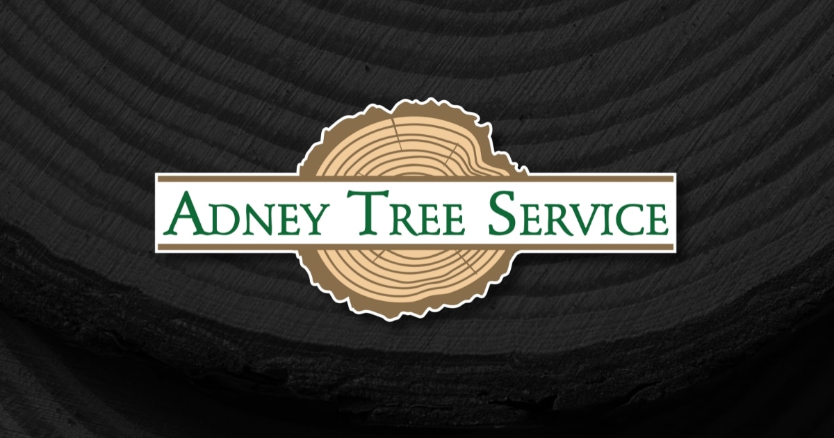 Tree Care Services | Tree Removal, Trimming, Stump Grinding, Arborist ...